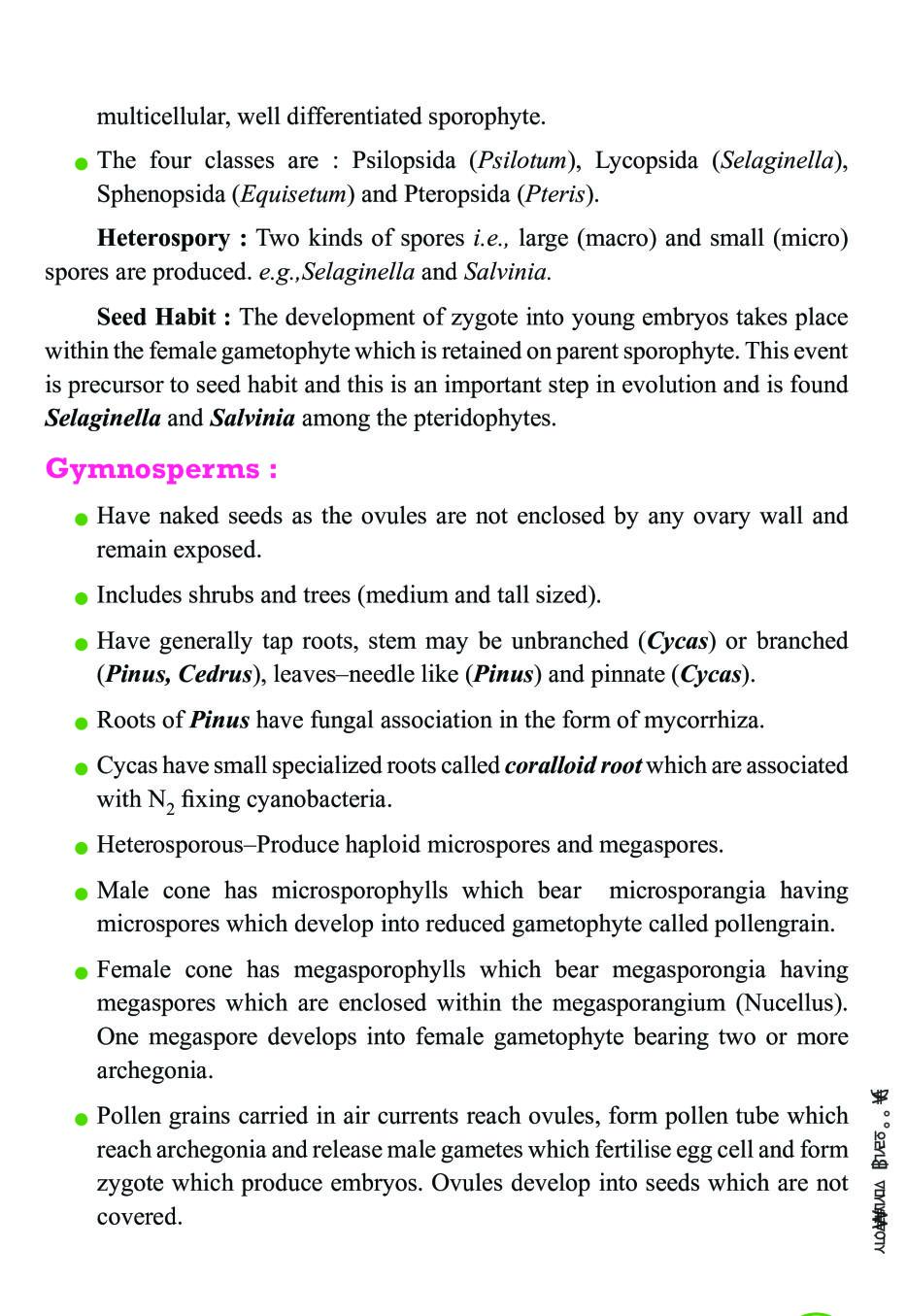 Class 11 Biology Notes For Plant Kingdom