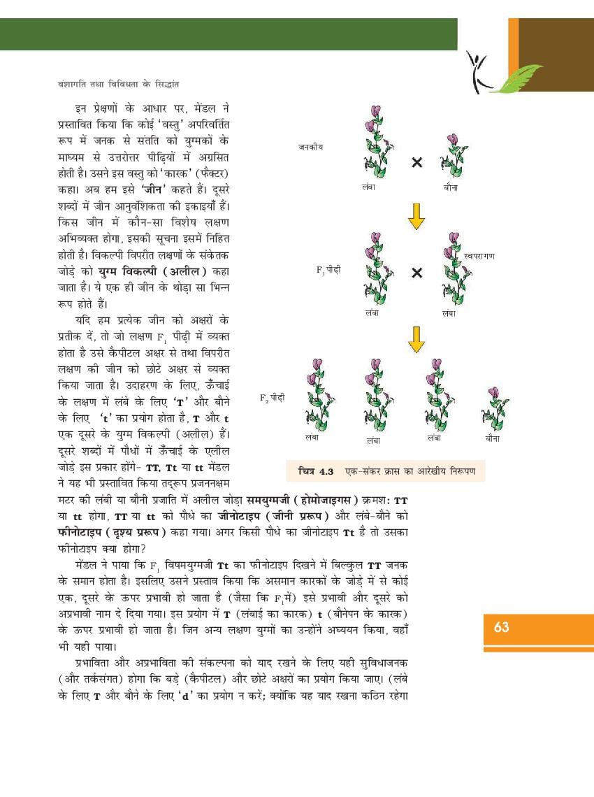 Up Board Book Class 12 Biology जीव विज्ञान Chapter 4 जनन स्वास्थ्य