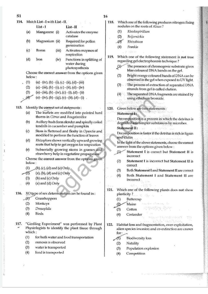NEET 2022 Question Paper PDF Available Download Here NEET 2022 Question Paper PDF Available Download Here