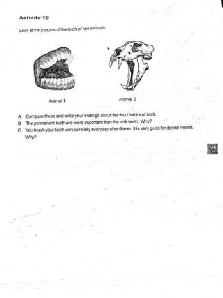 Class 7 Basic Science Christmas Exam Question Paper 2024 | Kerala Std 7 Second Term Basic ...