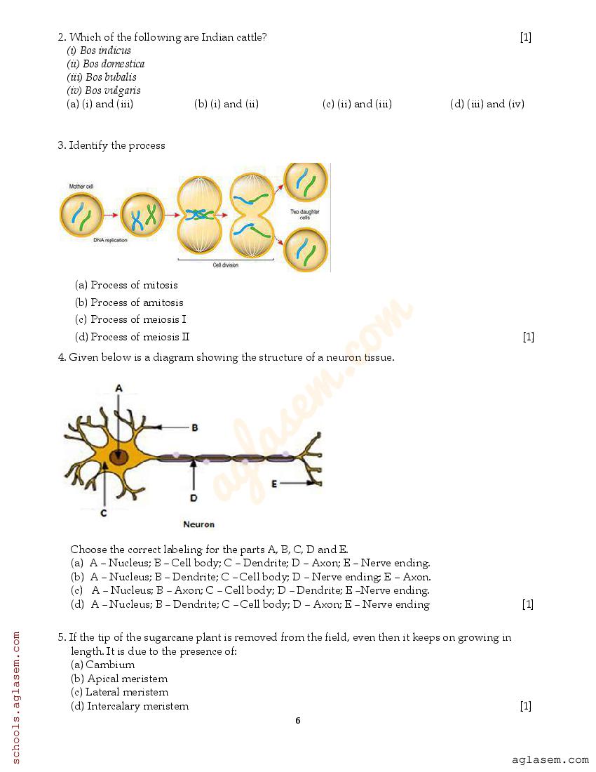 Class 9 Science Question Paper 2023 (PDF) - 9th Annual Exam Science ... Class 9 Science Question Paper 2023 (PDF) - 9th Annual Exam Science ...