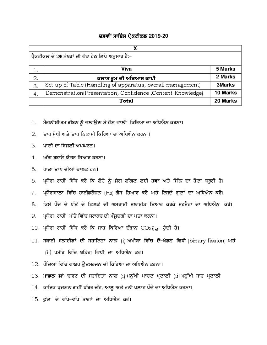 PSEB Class 10th Science Syllabus 2025 Download Latest Punjab Board PSEB Class 10th Science Syllabus 2025 Download Latest Punjab Board