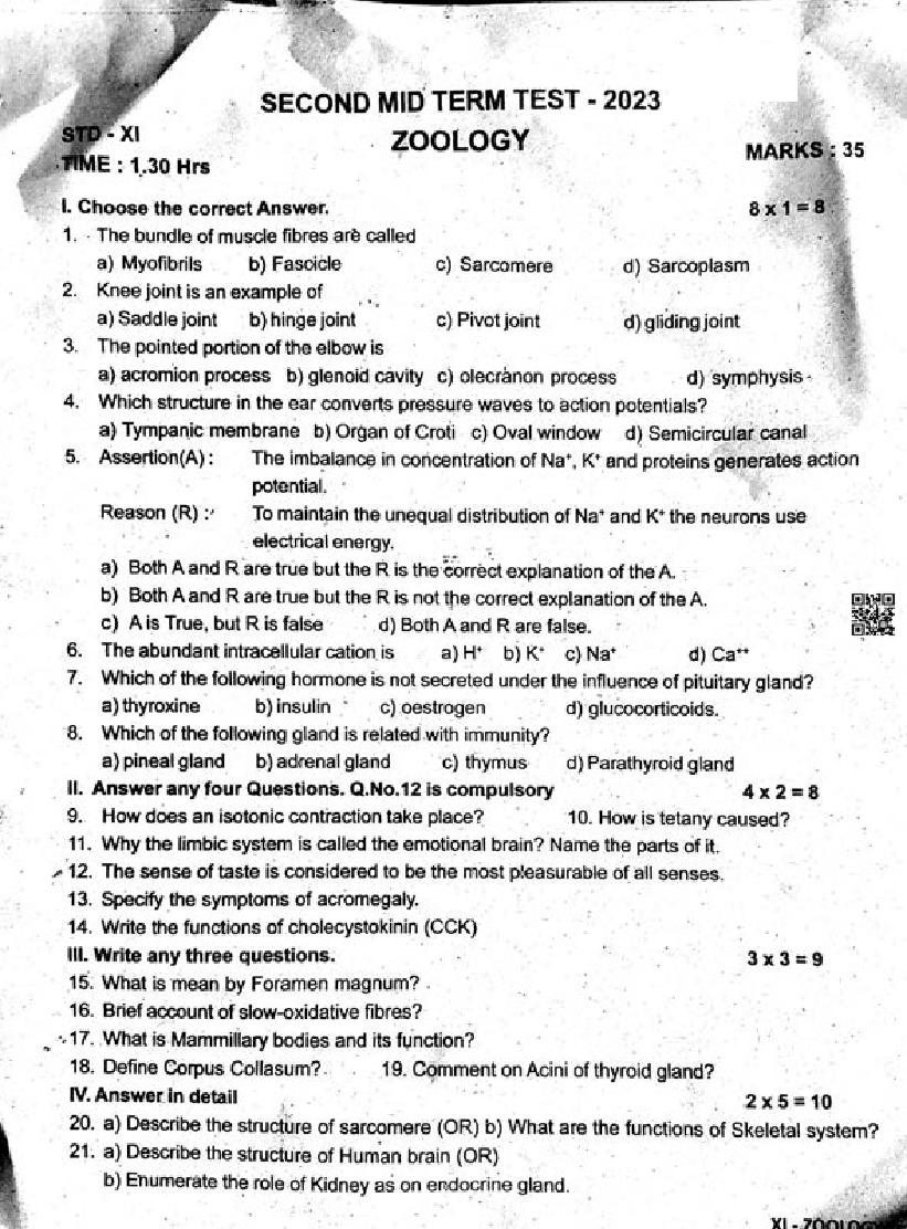 TN 11th Zoology Second Mid Term Question Paper 2024 | 2nd Mid Term PYQP Download PDF - AglaSem