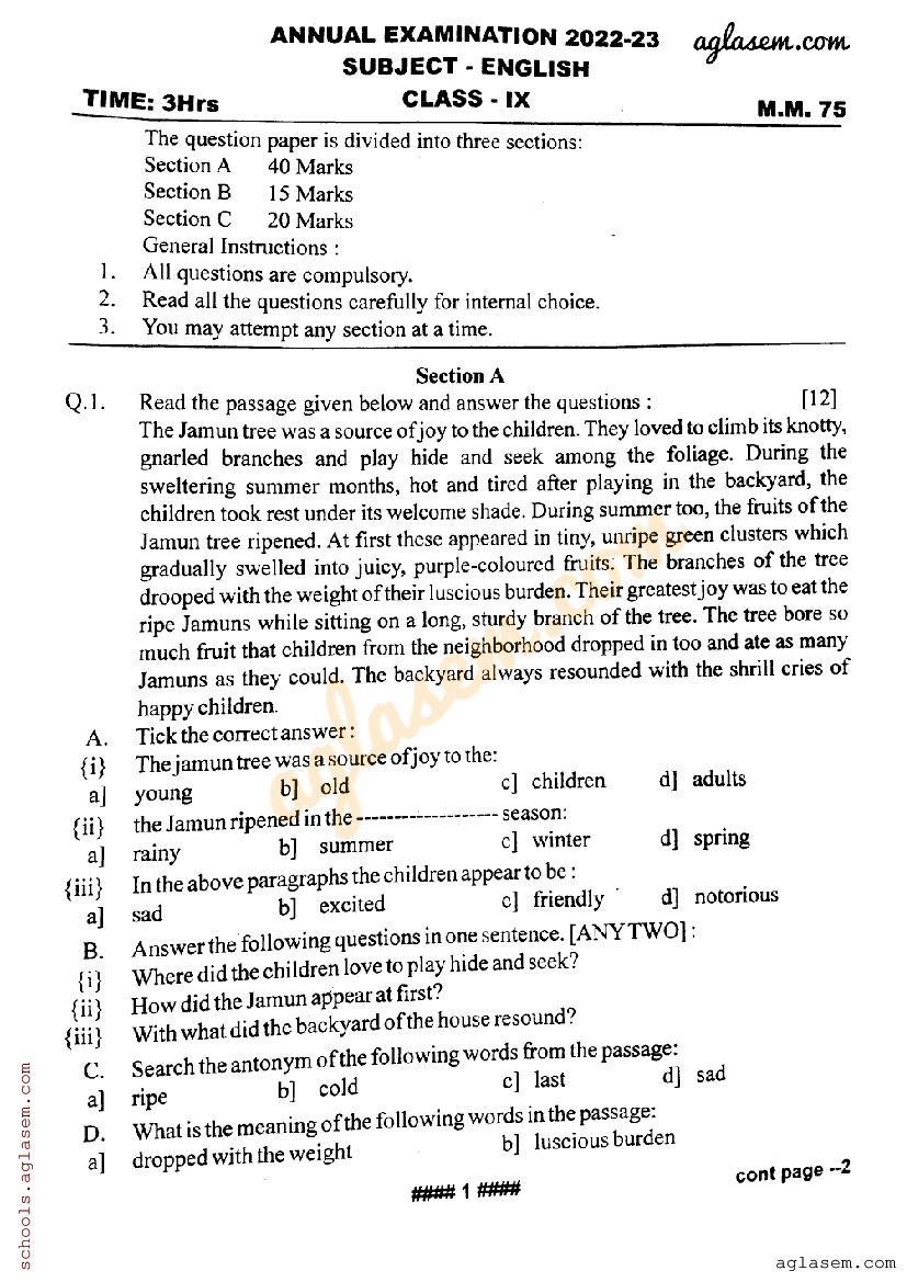 CG Board Class 9 English Question Paper 2023 PDF CGBSE Solutions