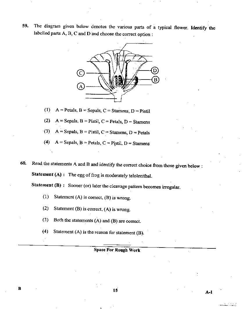 KCET 2013 Question Paper – Biology KCET 2013 Question Paper – Biology