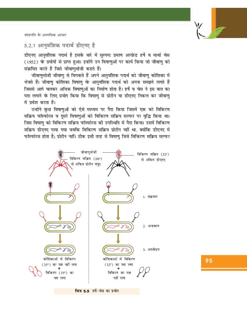 UP Board Book Class 12 Biology (जीव विज्ञान) Chapter 5 वंशागति तथा ...