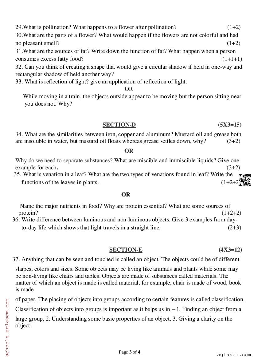 Class 6 Science Mid Term Question Paper 2025 | Download 6th Term 1 Exam ...
