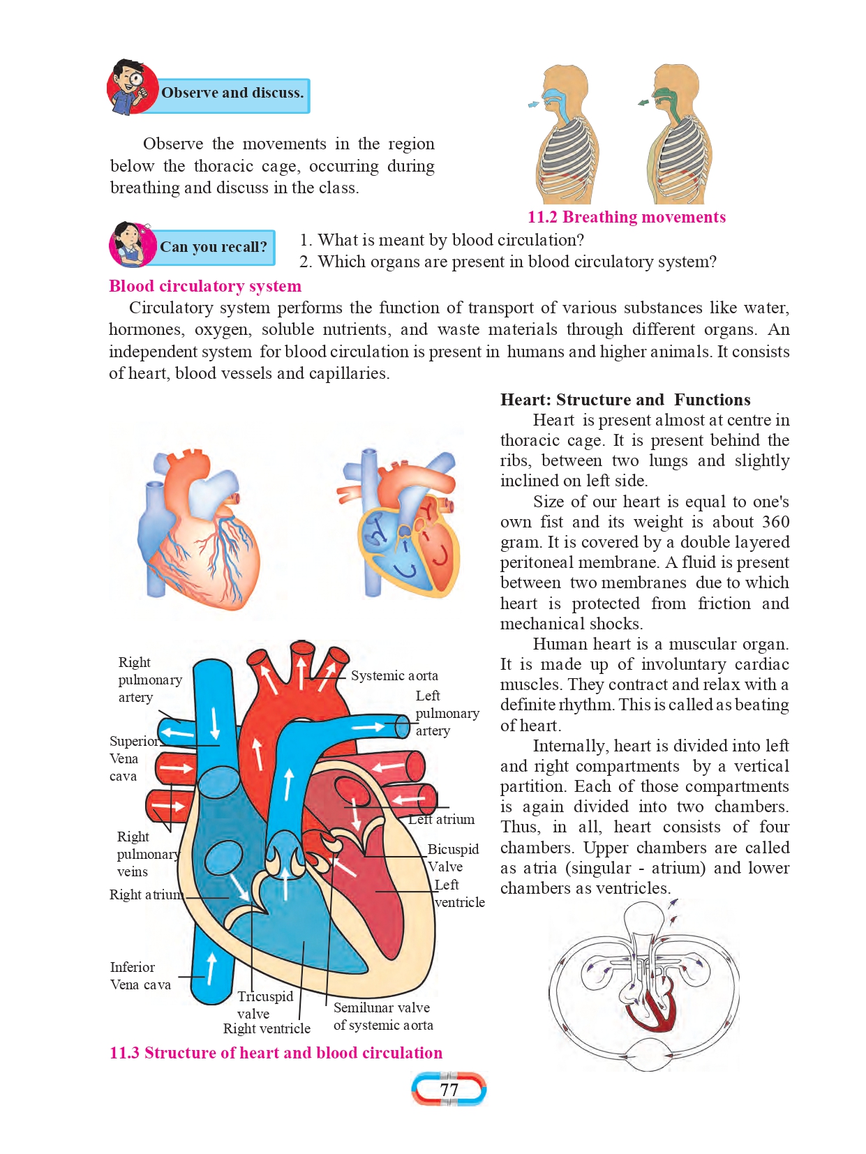 Maharashtra Board 8th Standard Science Book PDF AglaSem