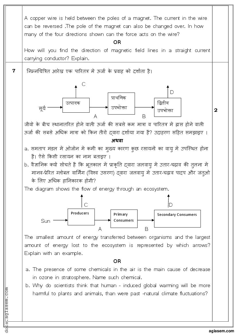 Class 10 Sample Paper 2022 Science Term 2 With Solution Download PDF Class 10 Sample Paper 2022 Science Term 2 With Solution Download PDF