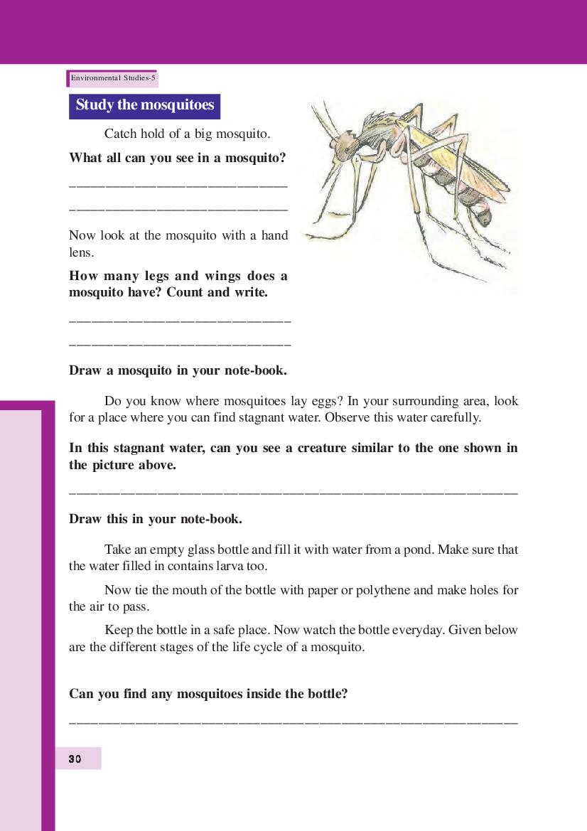 CG Board Class 5 EVS Book PDF Download Chhattisgarh Board Textbook CG Board Class 5 EVS Book PDF Download Chhattisgarh Board Textbook