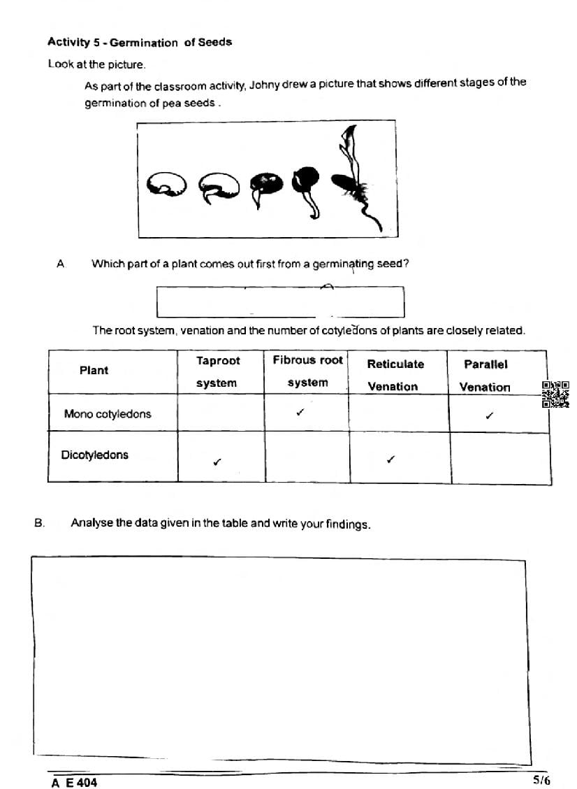 Class 4 EVS Onam Exam Question Paper 2024-25 | Kerala Std 4 First Term EVS Question Paper PDF ...