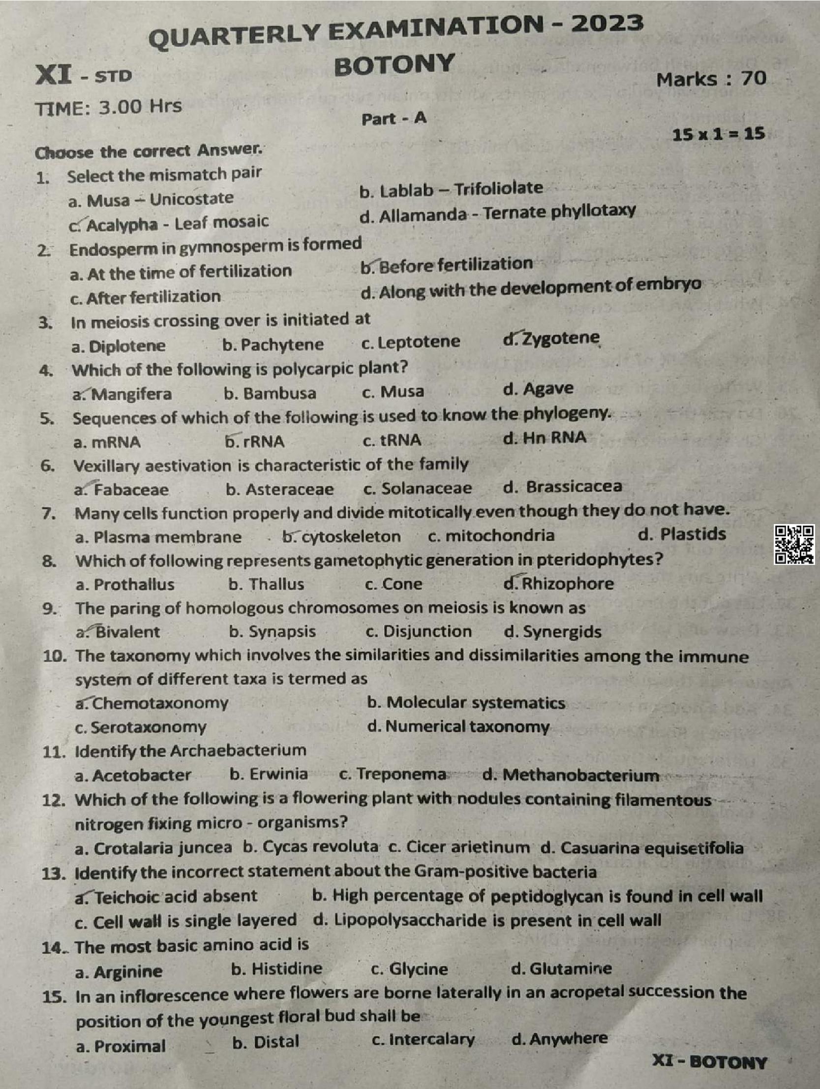 TN 11th Botany Quarterly Exam Question Paper 2024 PDF | First Term ...