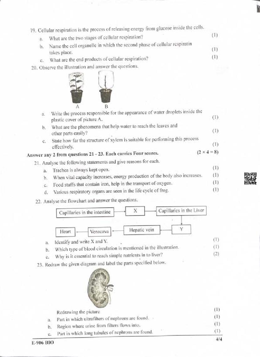 Class 9 Biology Christmas Exam Question Paper 2024 | Kerala Std 9 ...