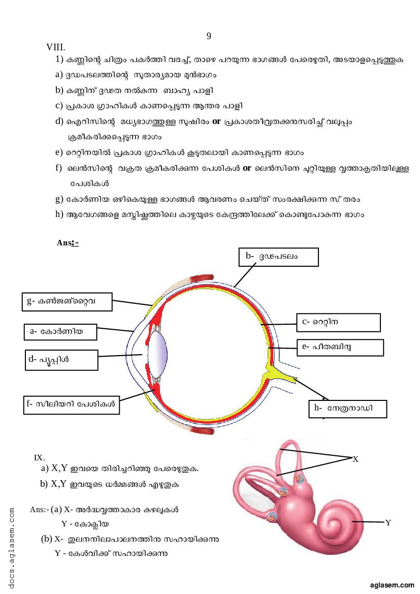 Kerala Class 10 Biology Notes PDF Kerala Syllabus SSLC Biology Kerala Class 10 Biology Notes PDF Kerala Syllabus SSLC Biology
