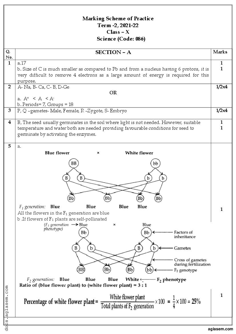Class 10 Sample Paper 2022 Solution Science Term 2