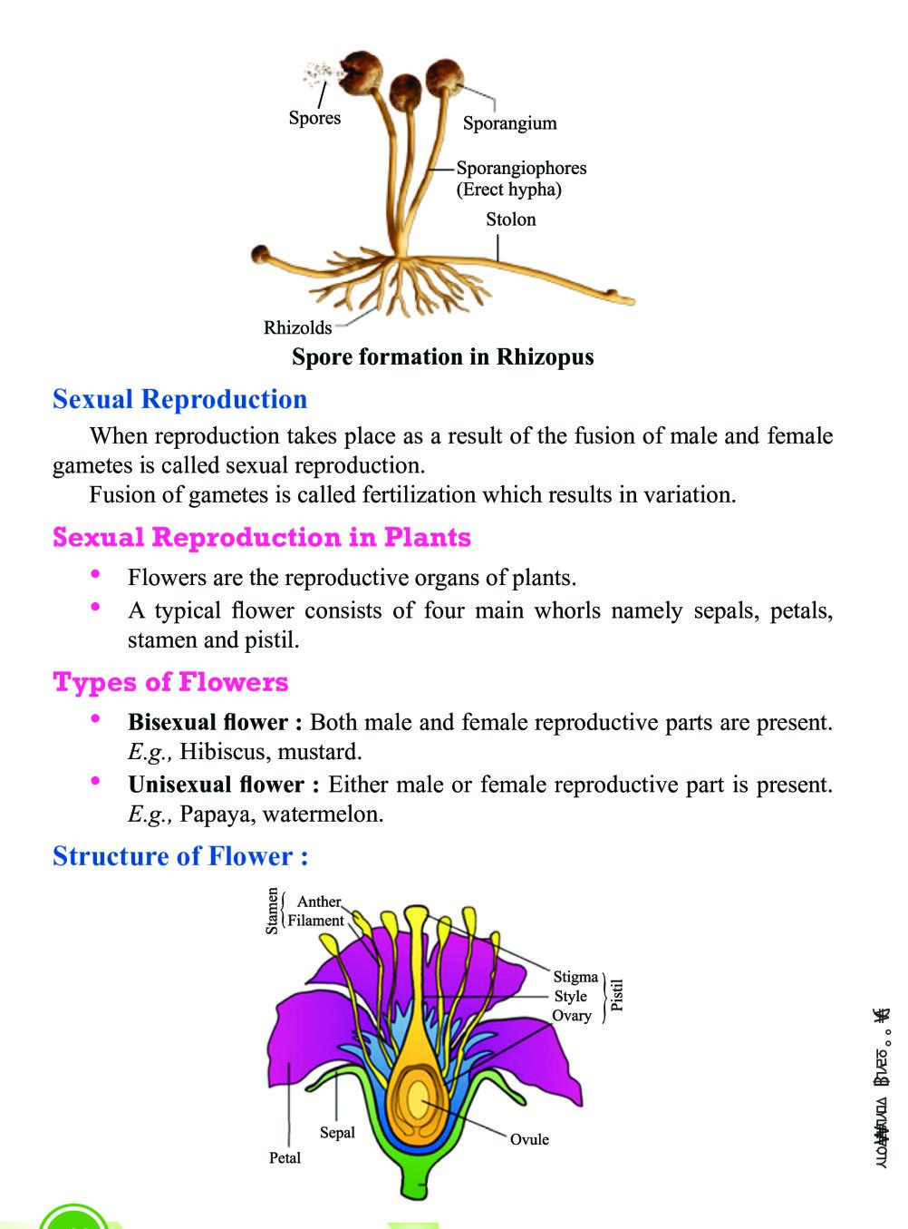 Class 10 Science Notes For How Do Organisms Reproduce PDF Study Class 10 Science Notes For How Do Organisms Reproduce PDF Study