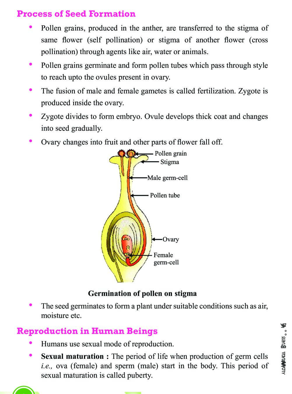 Class 10 Science Notes For How Do Organisms Reproduce PDF Study Class 10 Science Notes For How Do Organisms Reproduce PDF Study