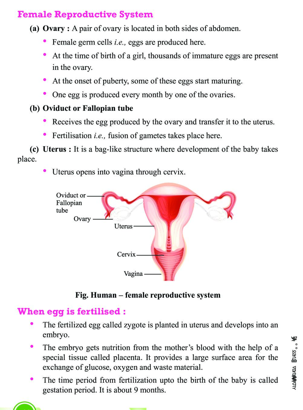 Class 10 Science Notes For How Do Organisms Reproduce PDF Study
