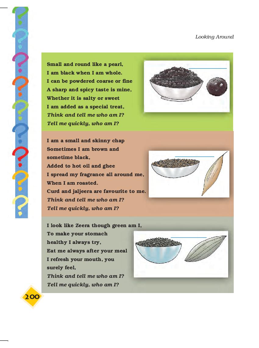 CBSE Class 4 EVS Chapter 25 Spicy Riddles CBSE Study Group