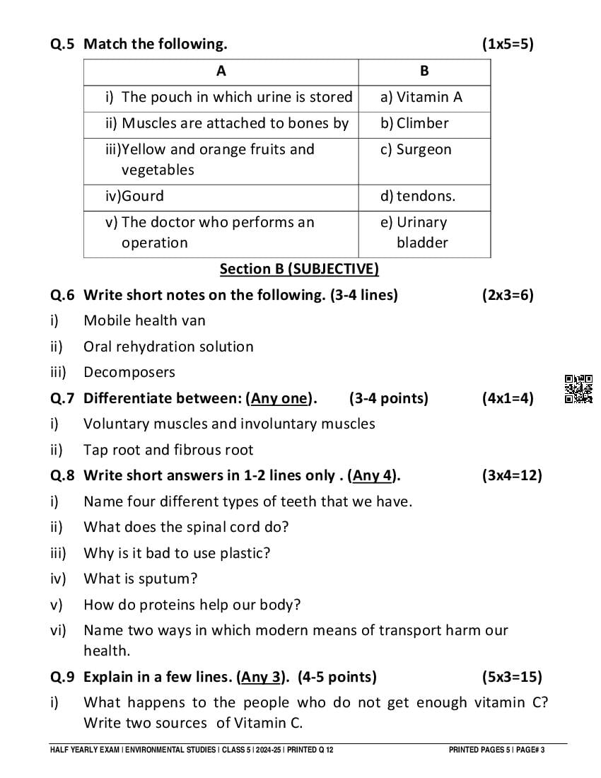 Class 5 EVS Half Yearly Question Paper 2025 | Download 5th Half Yearly ...