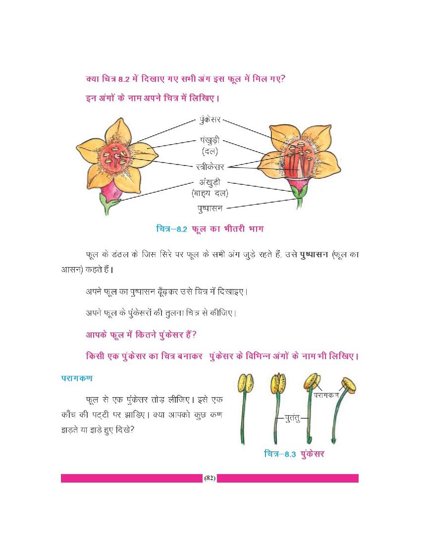 Bihar Board Book For Class 6 Science PDF Bihar Board Book For Class 6 Science PDF