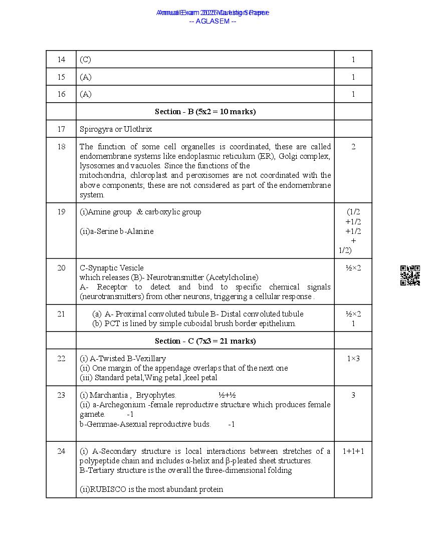 Class 11 Biology Question Paper 2025 (PDF) - Download 11th Std Annual ...
