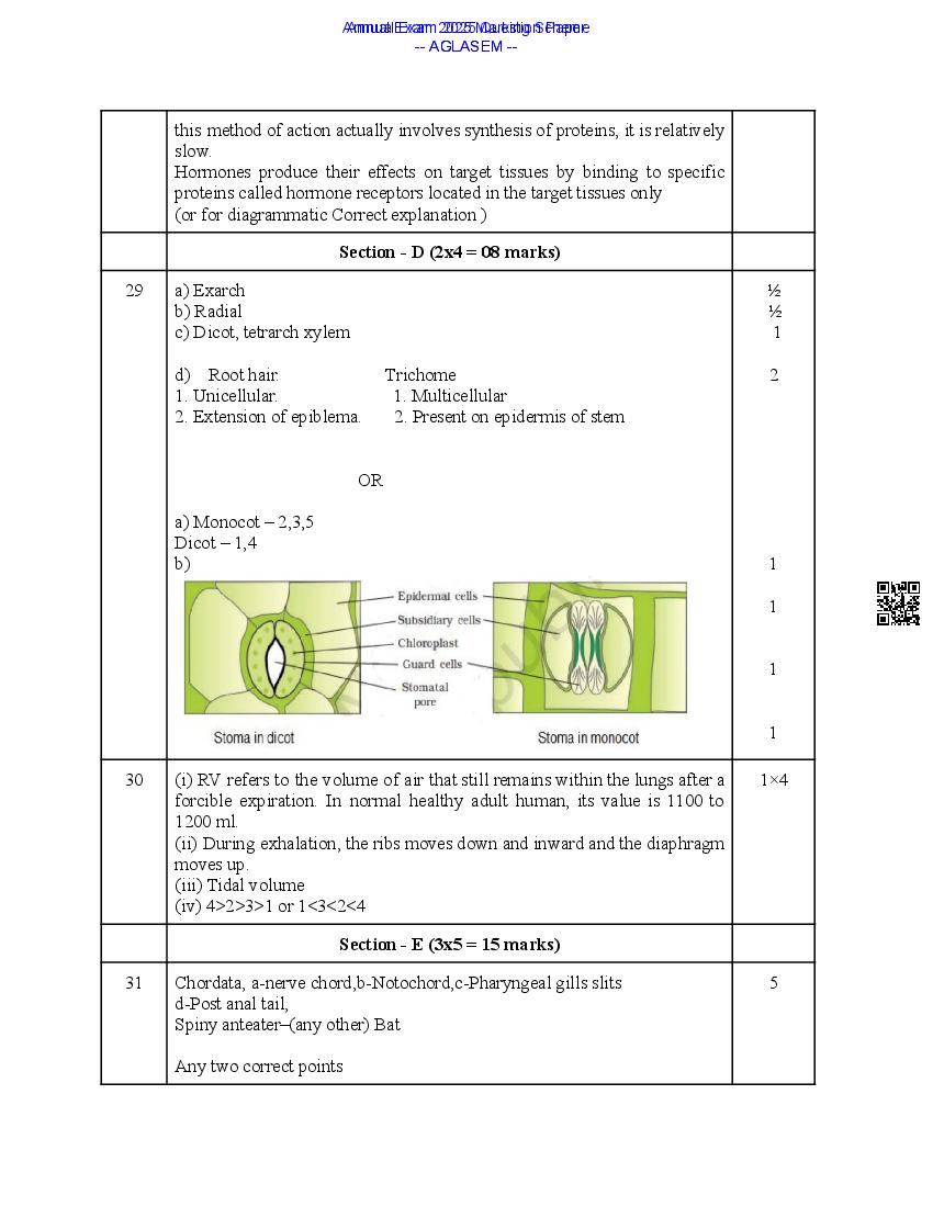 Class 11 Biology Question Paper 2025 (PDF) - Download 11th Std Annual ...
