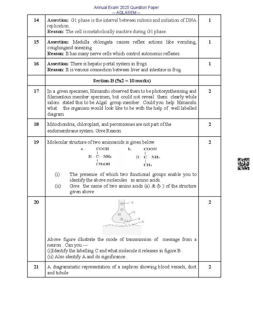 Class 11 Biology Question Paper 2025 (PDF) - Download 11th Std Annual ...