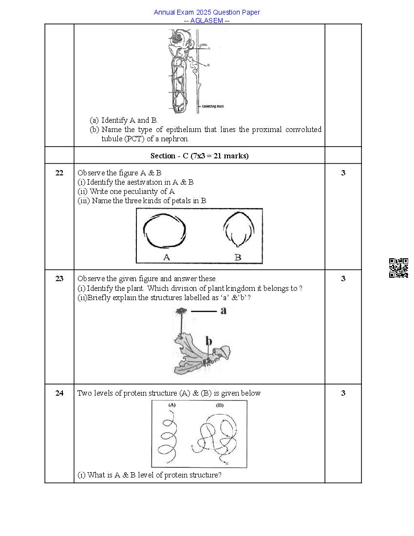 Class 11 Biology Question Paper 2025 (PDF) - Download 11th Std Annual ...