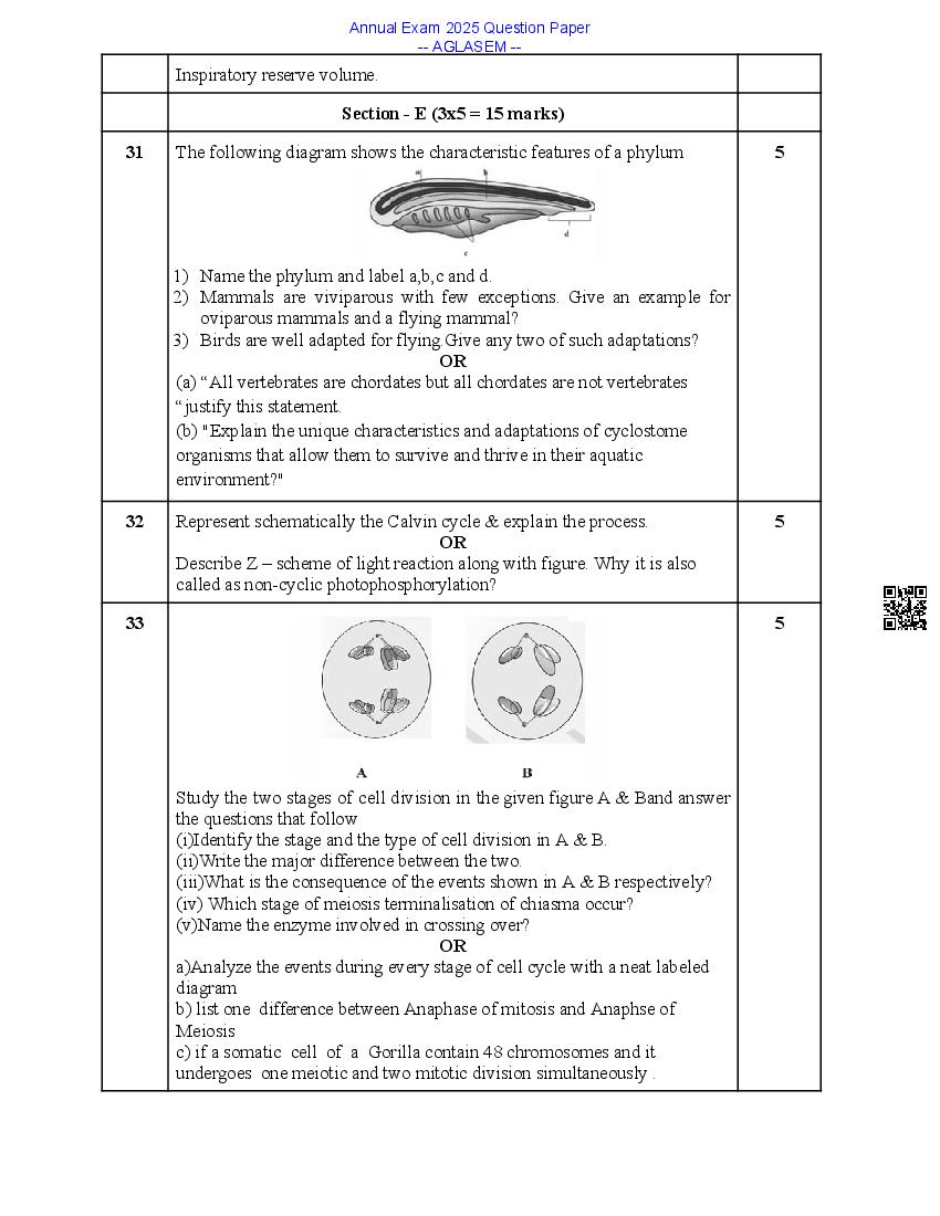 Class 11 Biology Question Paper 2025 (PDF) - Download 11th Std Annual ...