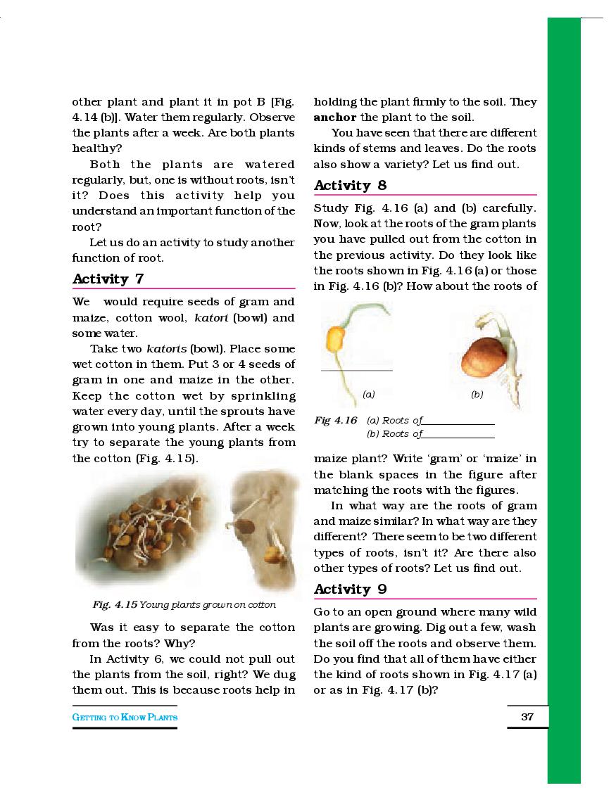NCERT Book Class 6 Science Chapter 4 Getting To Know Plants 2024 25 NCERT Book Class 6 Science Chapter 4 Getting To Know Plants 2024 25