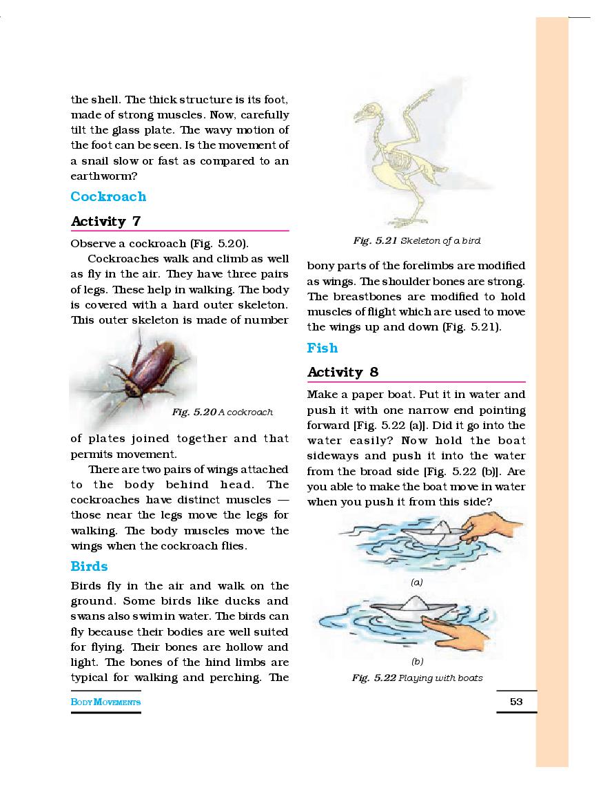 NCERT Book Class 6 Science Chapter 5 Body Movements 2024 25 Session 