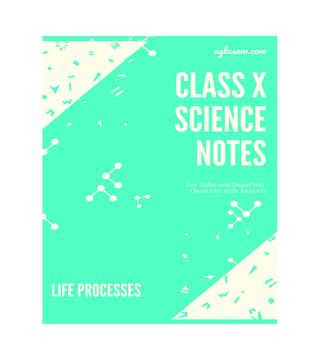 Class 10 Science Notes for Life Processes