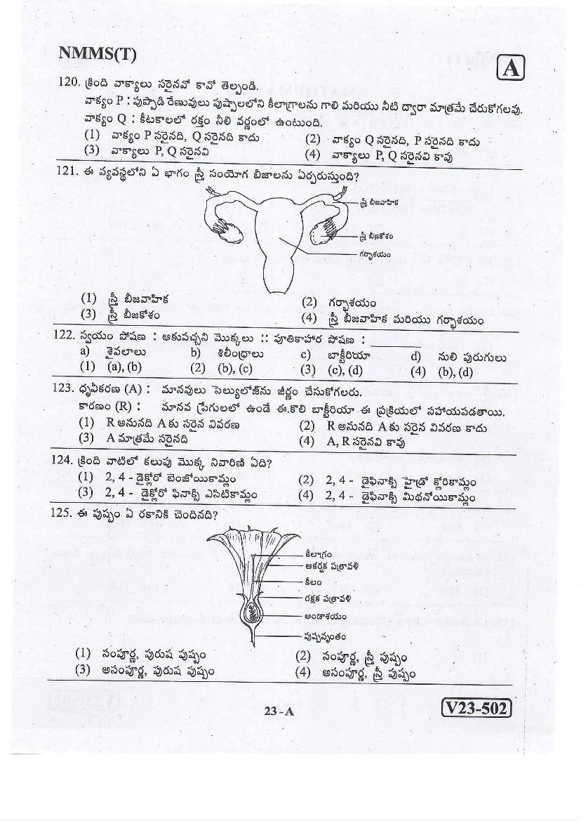 Andhra Pradesh NMMS 2023 Question Paper (PDF) - AglaSem