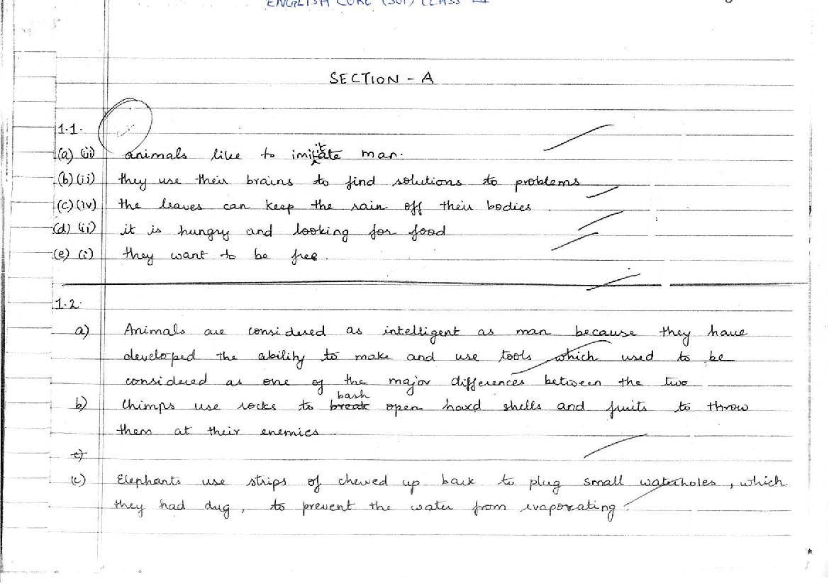 CBSE Class 12 Topper Answer Sheet 2019 For English Core