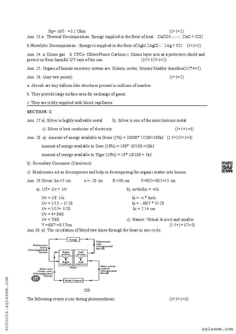 Class 10 Science Pre Board Sample Paper 2025 | Download Pre-Board Model ...