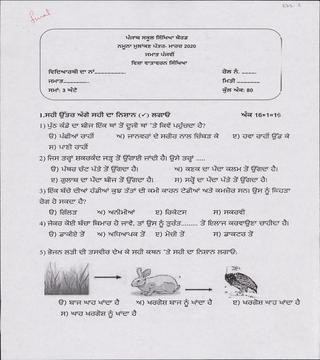 PSEB 5th Model Test Paper of EVS