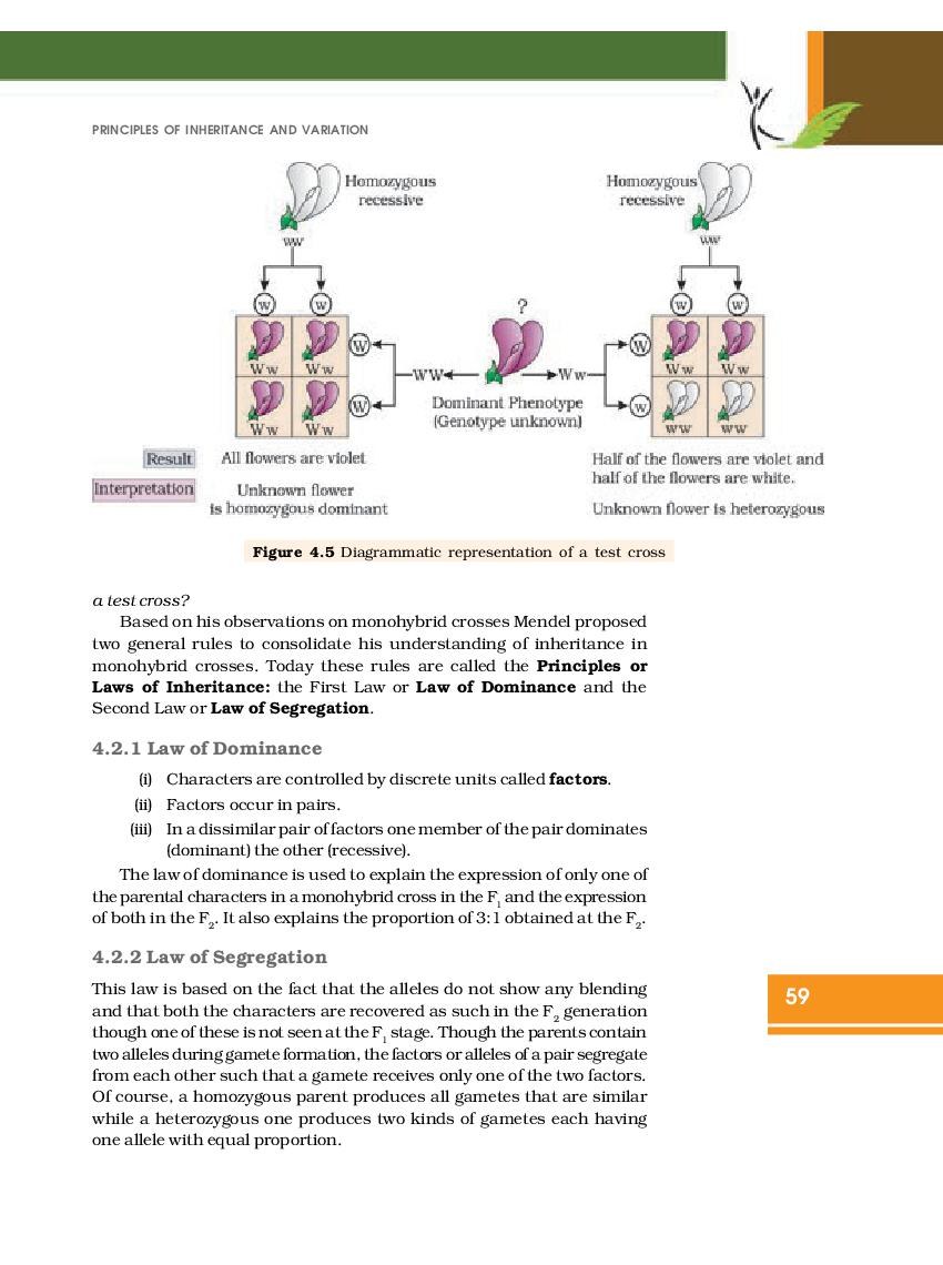 What Is Test Tube Baby Class 12 Roxann Marroquin What Is Test Tube Baby Class 12 Roxann Marroquin