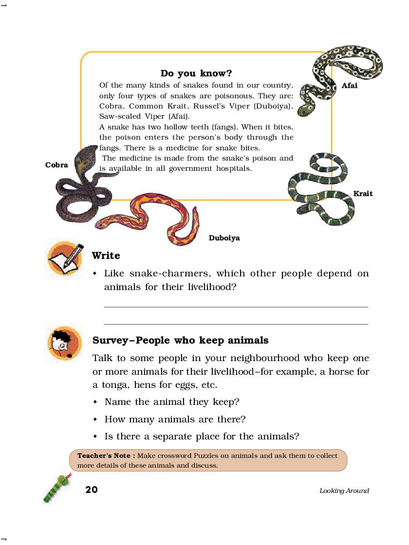 NCERT Book Class 5 EVS Chapter 2 A Snake Charmer s Story AglaSem Schools NCERT Book Class 5 EVS Chapter 2 A Snake Charmer s Story AglaSem Schools