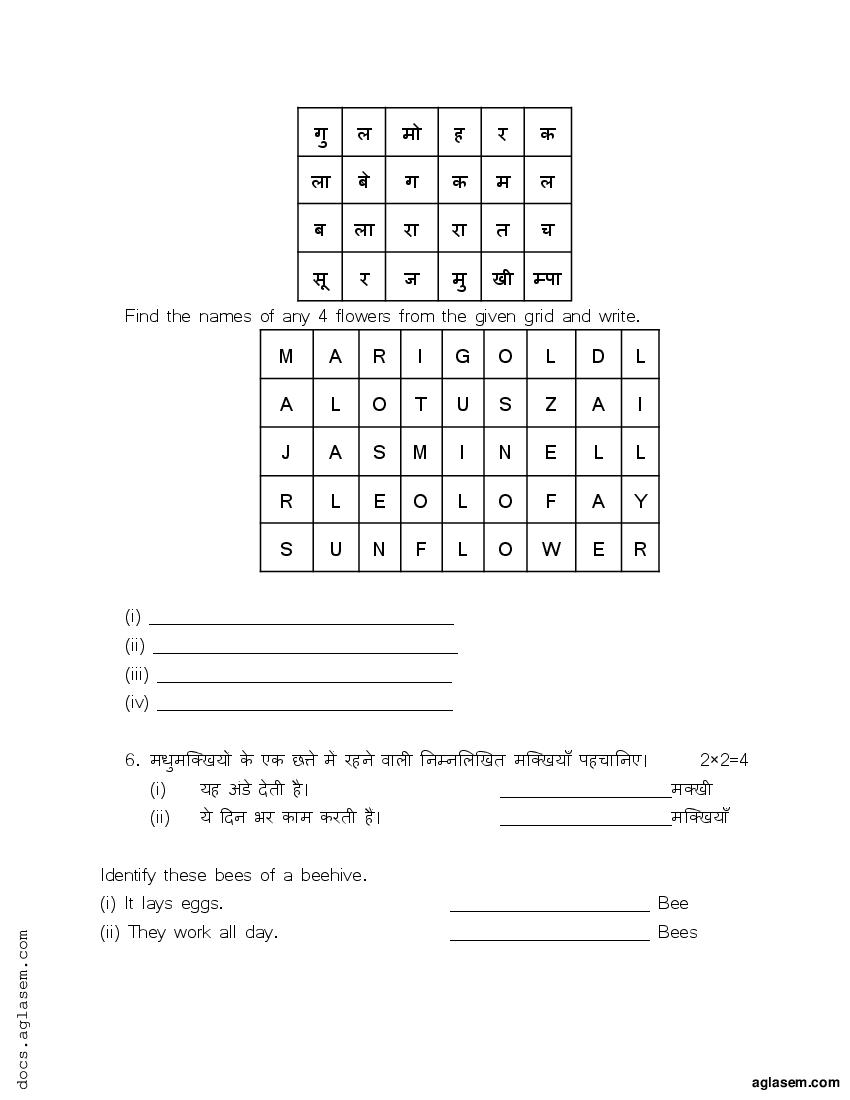 Class 4 EVS Sample Paper 2024 PDF Annual Exam Model Question Practice