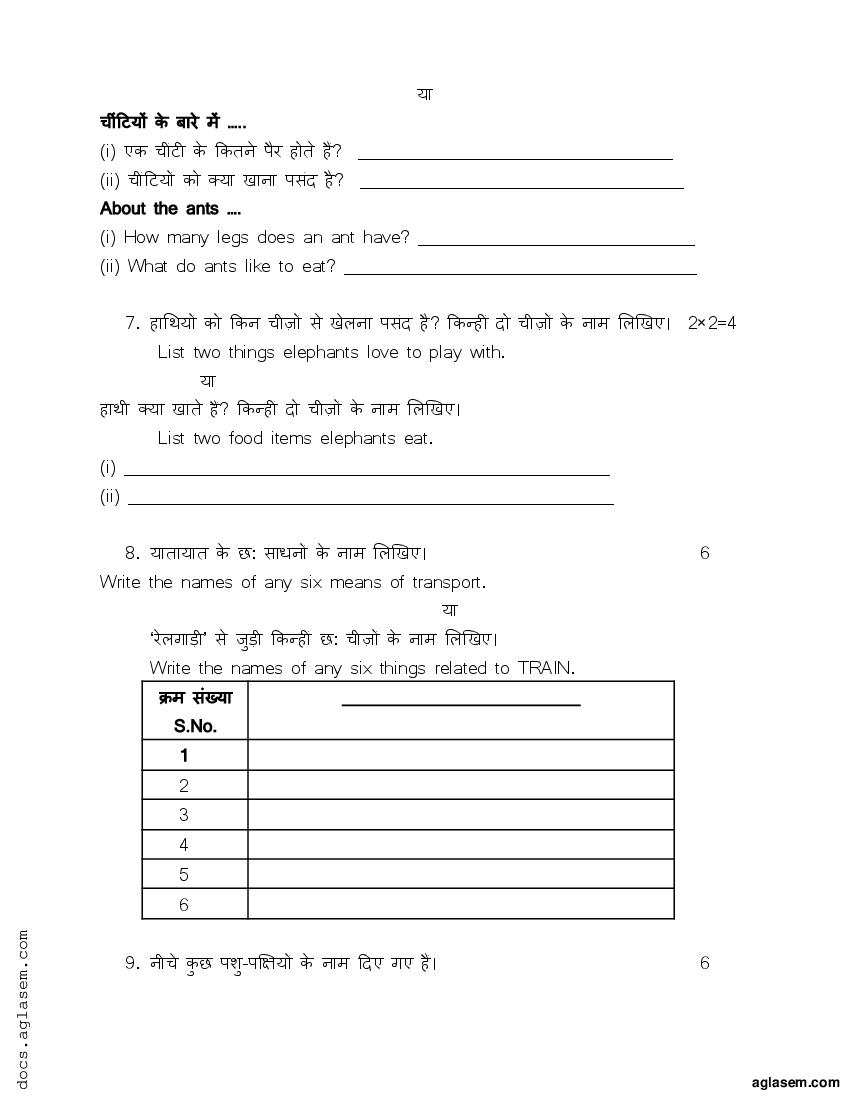 Class 4 EVS Sample Paper 2025 PDF Latest Practice Model Question