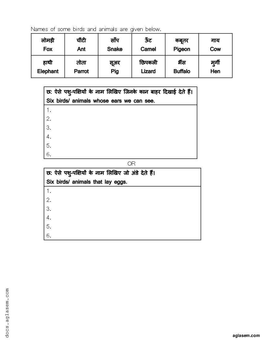 Class 4 EVS Sample Paper 2024 PDF Annual Exam Model ion Practice