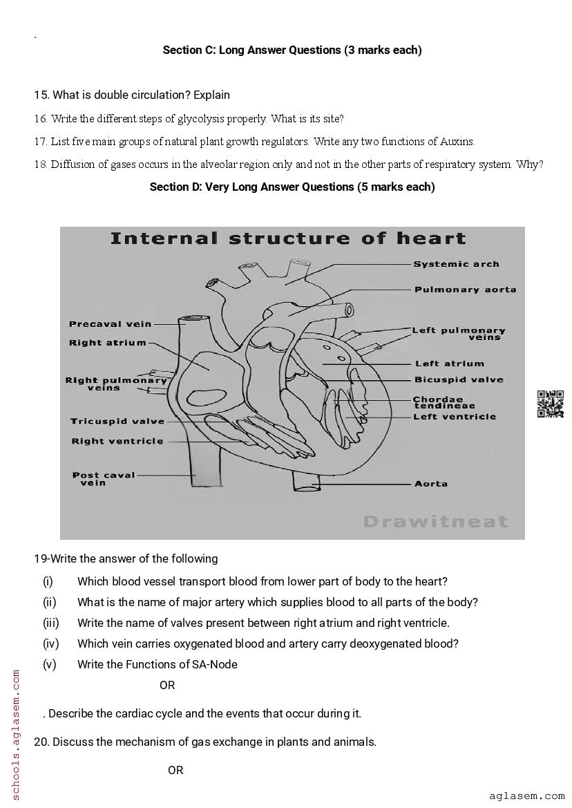 Class 11 PT 2 Question Paper Biology 2023-24 | Download Periodic Test 2 ...