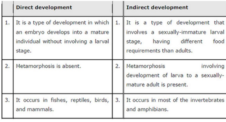 NCERT Solutions for Class 11 Biology Animal Kingdom Exercise Q5