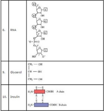 NCERT Solutions for Class 11 Biology Chapter 9 Biomolecules
