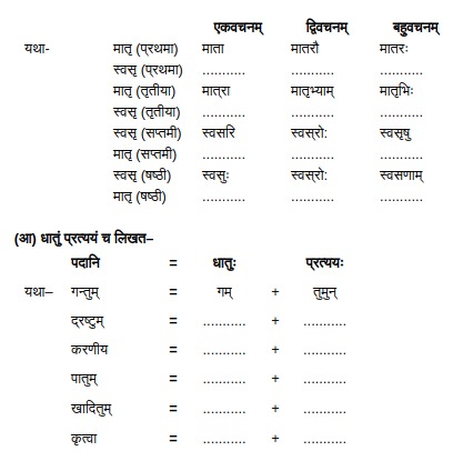 NCERT Solutions for Class 8 Sanskrit Chapter 5 धर्मे धमनं पापे पुण्यं
